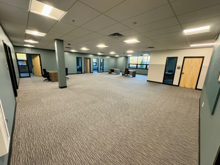 About EOS - Electric Owl Studios