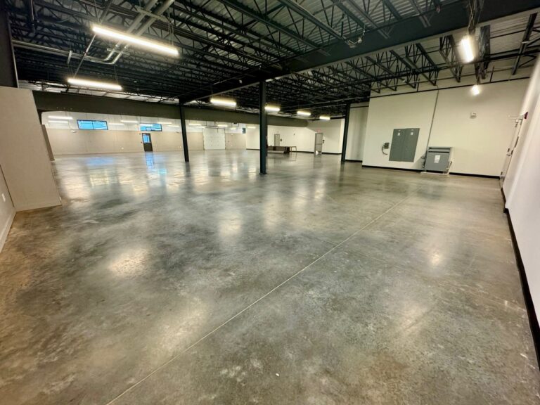 About EOS - Electric Owl Studios